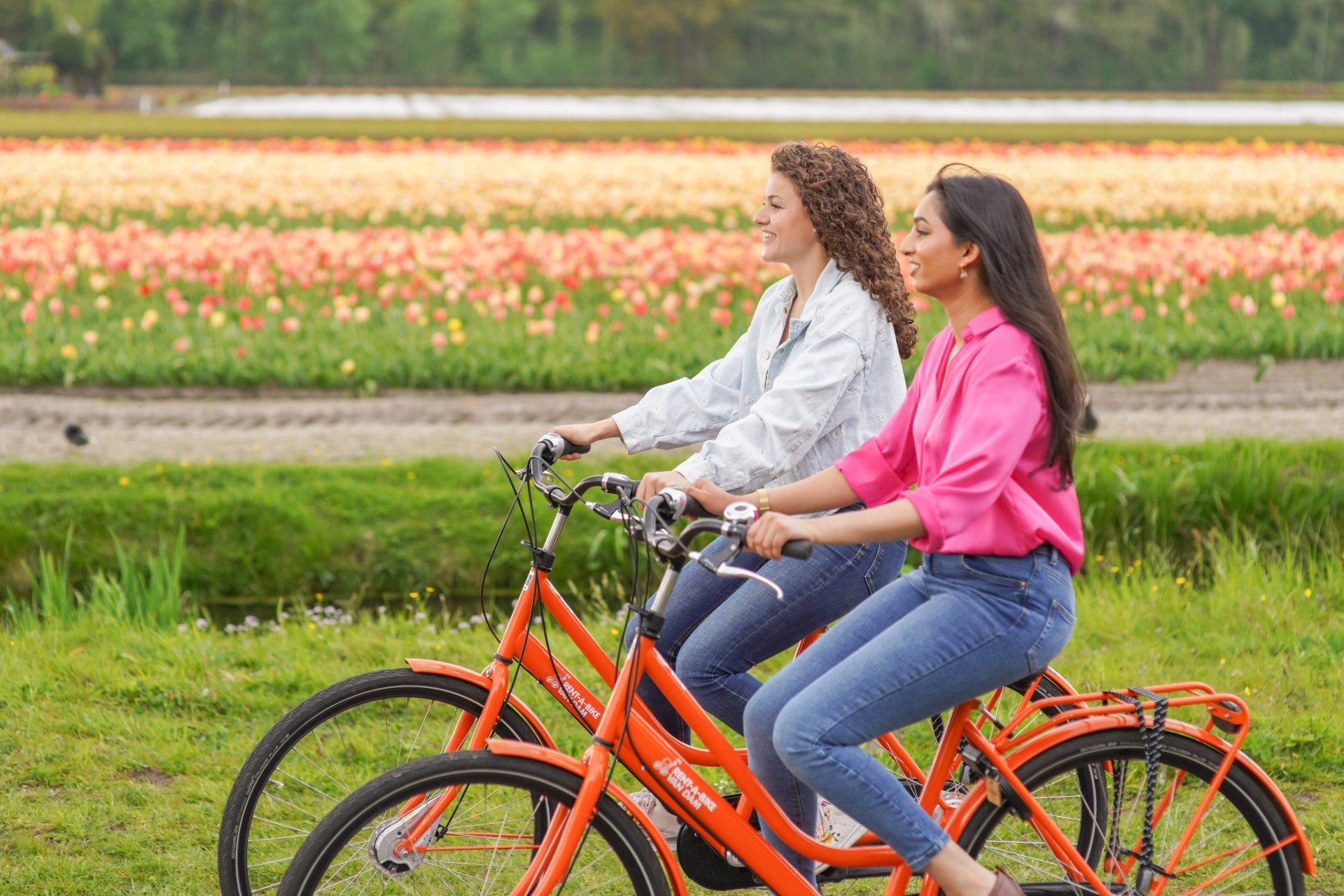 Activiteiten - Keukenhof