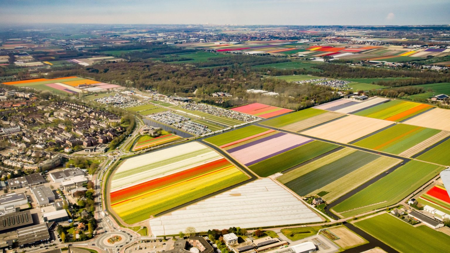 Bloeiende Bollenstreek als een lappendeken - Keukenhof