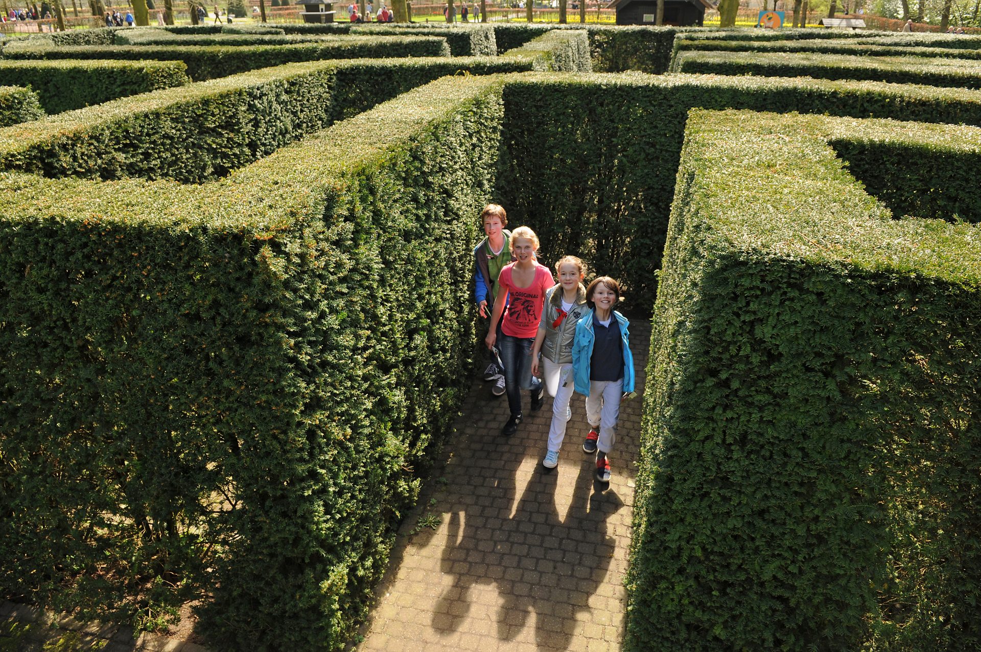 Maze - Keukenhof